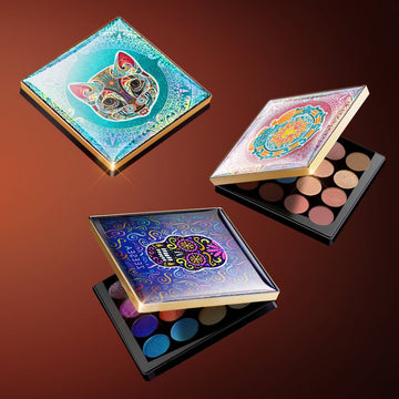 Eyeshadow – ZEESEA